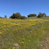 East Ridge and Cronan Ranch Loop, California - 1,044 Reviews, Map ...