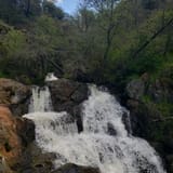 Hidden Falls Trail, California - 3,671 Reviews, Map | AllTrails
