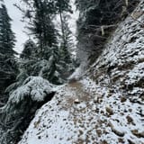 Packwood Lake Trail, Washington - 1,620 Reviews, Map | AllTrails