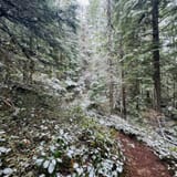 Packwood Lake Trail, Washington - 1,620 Reviews, Map | AllTrails