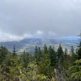 Mount Walker, Washington - 2,016 Reviews, Map | AllTrails