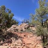 Secret Slick Rock Trail, Arizona - 1,051 Reviews, Map | AllTrails