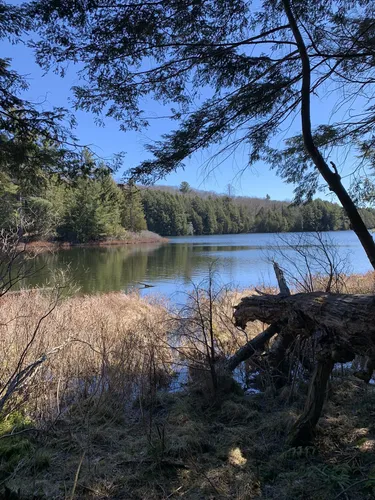 Best Easy Trails in Limberlost Forest and Wildlife Reserve | AllTrails