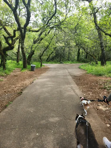 Best Bird Watching Trails in Howarth Memorial Park | AllTrails