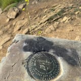Wisdom Tree, Cahuenga Peak and Mount Lee Summit Loop, California ...