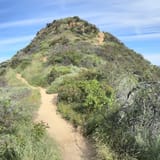 Wisdom Tree, Cahuenga Peak and Mount Lee Summit Loop, California ...