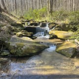 John Rock Trail Loop, North Carolina - 2,288 Reviews, Map | AllTrails