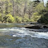 Cartecay River Loop Trail, Georgia - 2,021 Reviews, Map | AllTrails