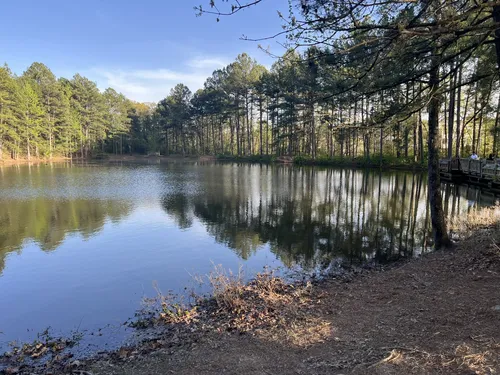 Best Hikes and Trails in Conner Park | AllTrails