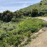 Powder Canyon Loop Trail, California - 2,353 Reviews, Map | AllTrails