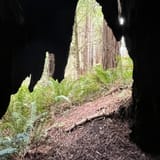 Berry Glen and Lady Bird Grove Trail , California - 390 Reviews, Map ...