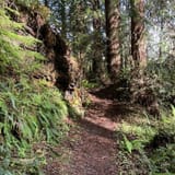 Berry Glen and Lady Bird Grove Trail , California - 390 Reviews, Map ...