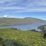 Tom McCall Point Trail, Oregon - 1,525 Reviews, Map | AllTrails