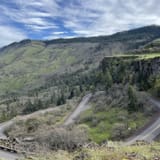 Tom McCall Point Trail, Oregon - 1,525 Reviews, Map | AllTrails