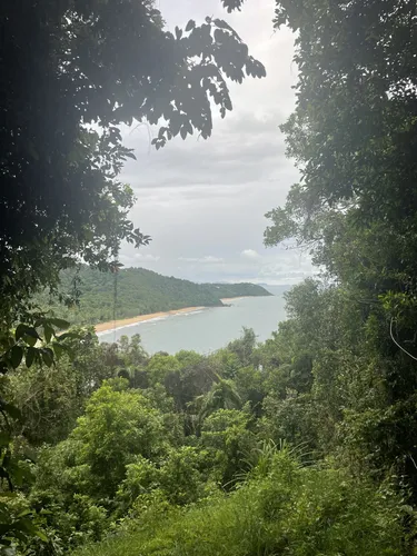 Best Hikes and Trails in Bingil Bay | AllTrails