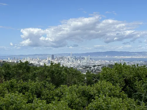 Best Hikes and Trails in Mount Davidson Park | AllTrails