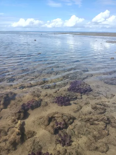 Best Hikes and Trails in King Island Conservation Park | AllTrails