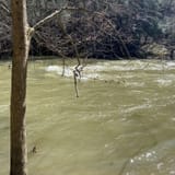 Slippery Rock Gorge Trail, Pennsylvania - 1,393 Reviews, Map | AllTrails