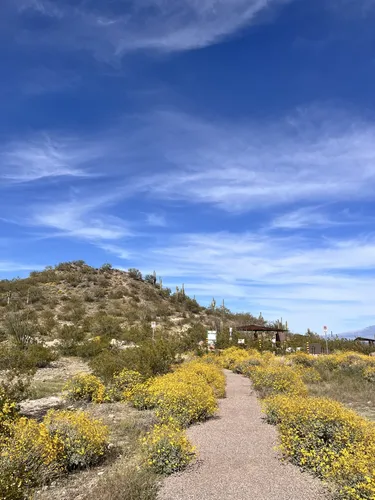 Sentinel Peak Park: de beste routes om te wandelen | AllTrails