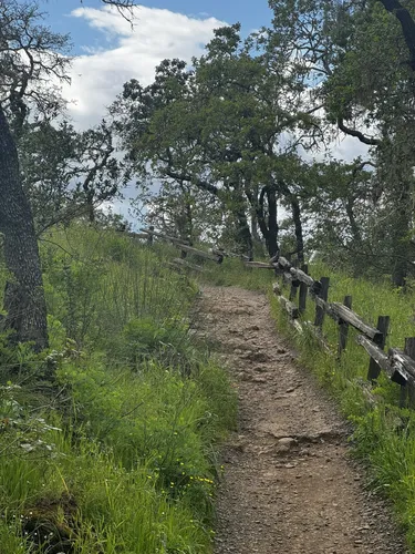Best Historic Site Trails in Santa Rosa | AllTrails