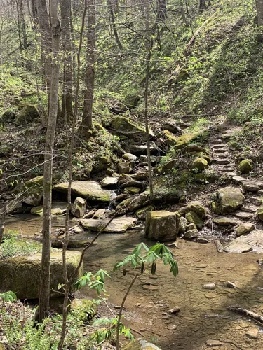 Best Waterfall Trails in Frozen Head State Park | AllTrails