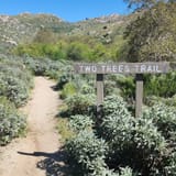 Two Trees Trail, California - 1,403 Reviews, Map | AllTrails