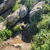 Two Trees Trail, California - 1,403 Reviews, Map | AllTrails