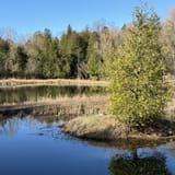 Heber Down Conservation Area Trail, Ontario, Canada - 633 Reviews, Map ...