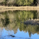 Heber Down Conservation Area Trail, Ontario, Canada - 633 Reviews, Map ...