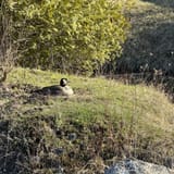 Heber Down Conservation Area Trail, Ontario, Canada - 633 Reviews, Map ...