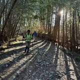 Heber Down Conservation Area Trail, Ontario, Canada - 633 Reviews, Map ...