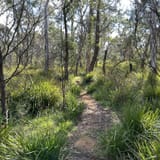 Berrima River Walk, New South Wales, Australia - 85 Reviews, Map ...