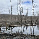 Cumberland Monastery Trail, Rhode Island - 2,028 Reviews, Map | AllTrails