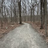 Cumberland Monastery Trail, Rhode Island - 2,028 Reviews, Map | AllTrails