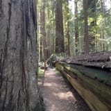 Drury-Chaney Trail, California - 790 Reviews, Map | AllTrails