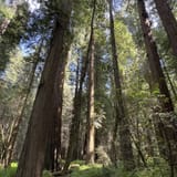 Drury-Chaney Trail, California - 784 Reviews, Map | AllTrails