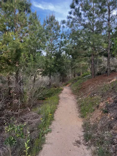 Best Moderate Trails in Bastrop State Park | AllTrails