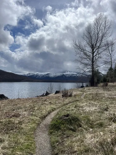 Best Waterfall Trails in Toutle Lake | AllTrails
