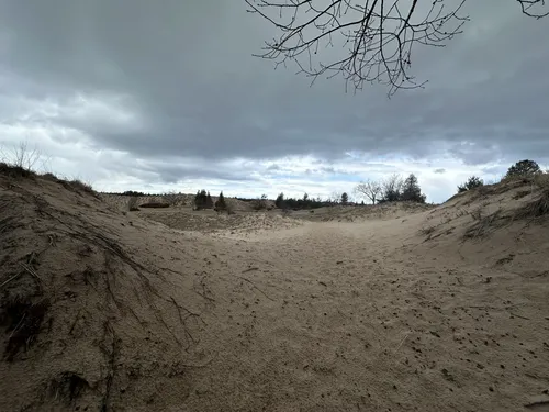 Best Lake Trails in Free Soil | AllTrails