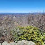Buffalo Mountain Trail, Virginia - 657 Reviews, Map | AllTrails