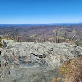Buffalo Mountain Trail, Virginia - 657 Reviews, Map | AllTrails