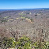 Buffalo Mountain Trail, Virginia - 657 Reviews, Map | AllTrails