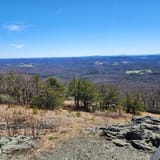 Buffalo Mountain Trail, Virginia - 657 Reviews, Map | AllTrails