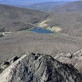 Sharp Top Trail, Virginia - 2,763 Reviews, Map | AllTrails