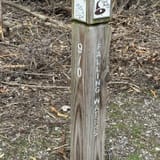Falling Waters Trail, Michigan - 171 Reviews, Map | AllTrails