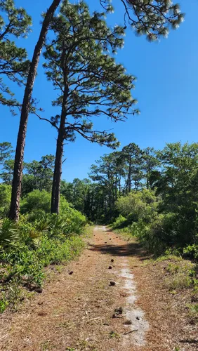 Best Easy Trails in Jay B. Starkey Wilderness Park | AllTrails