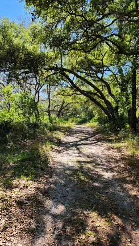 Best Easy Trails in Jay B. Starkey Wilderness Park | AllTrails