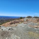 Buffalo Mountain Trail, Virginia - 657 Reviews, Map | AllTrails