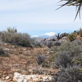 Ryan Mountain, California - 7,410 Reviews, Map | AllTrails