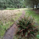Cape Alava Trail, Washington - 556 Reviews, Map | AllTrails